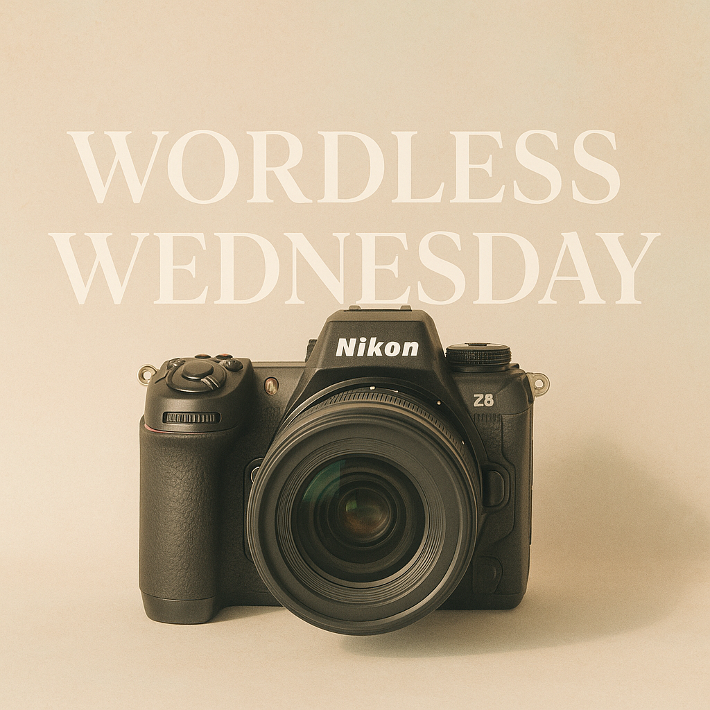 Wordless Wednesday #25 – Peanuts In My Pocket